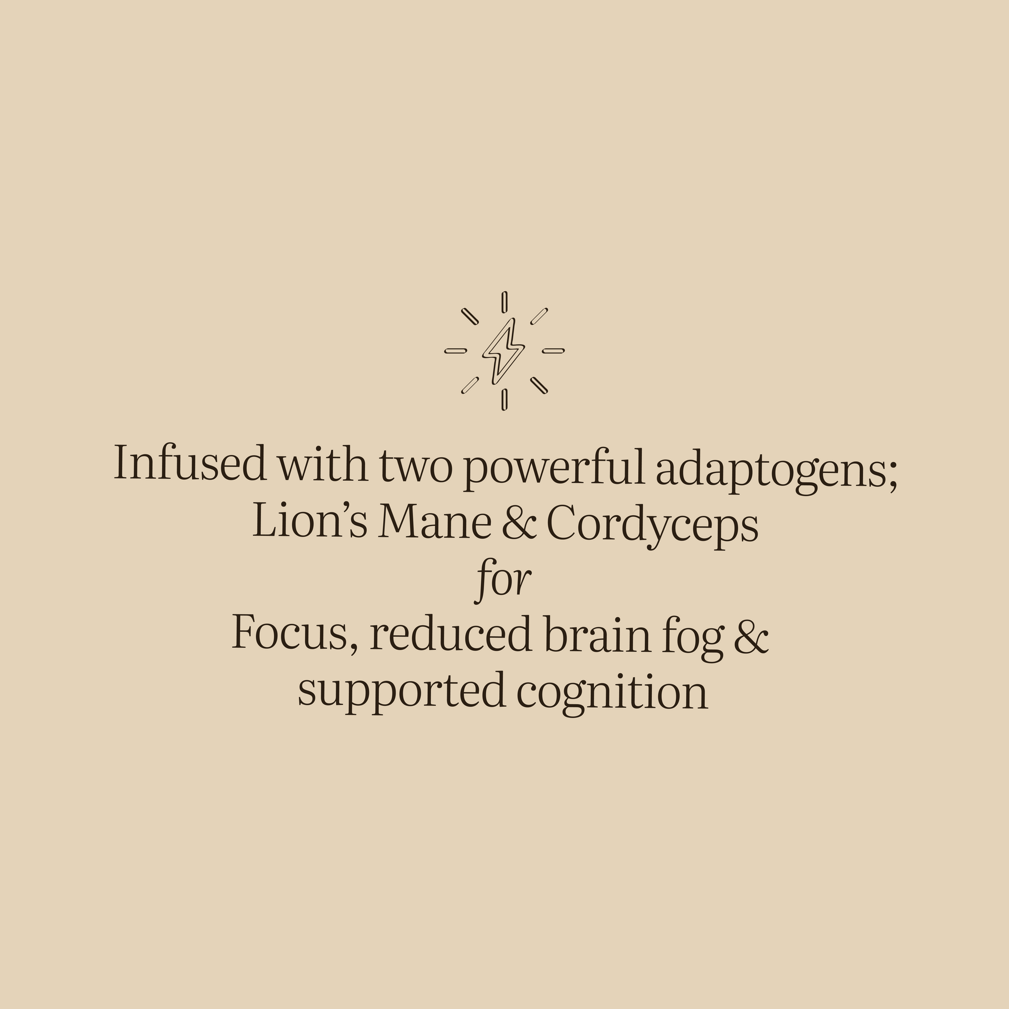 Bundles – HOLY CACAO